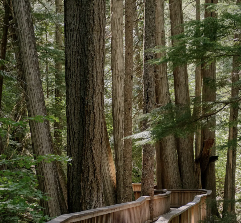 Accessible Nature: A Trail Guide for Disabled Hikers - Center for ...